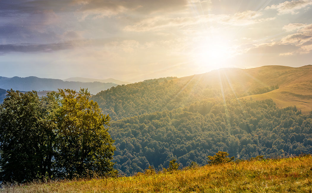 The Great Transition: Shifting to digital assets, ESG values and hybrid ...